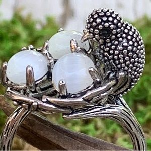 Jewelry | Birds Nest Ring | Poshmark